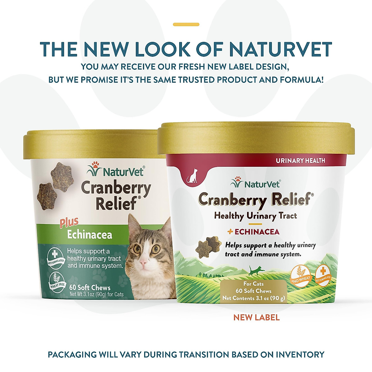NaturVet Cranberry Relief Plus Echinacea for Cats, 60 ct Soft Chews, Made in The USA with Globally Source Ingredients