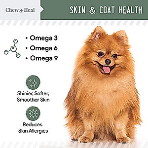 Chew + Heal All in 1 Dog Vitamin - 120 Soft Chew Treats - Chewable Multivitamin with Probiotics, Digestive Enzymes, for Skin and Coat, Hip and Joint Support - with Omega, Calcium - Made in The USA