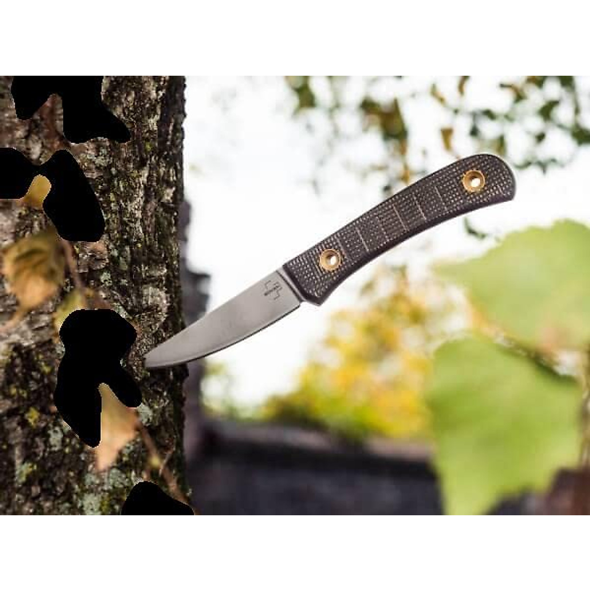 Boker Plus Bark Beetle - 3.62" 1095 Matte Coated Carbon Steel Blade with Olive Green Canvas Micarta Scales and Leather Sheath Designed by Sandor Hegyes - 02BO039