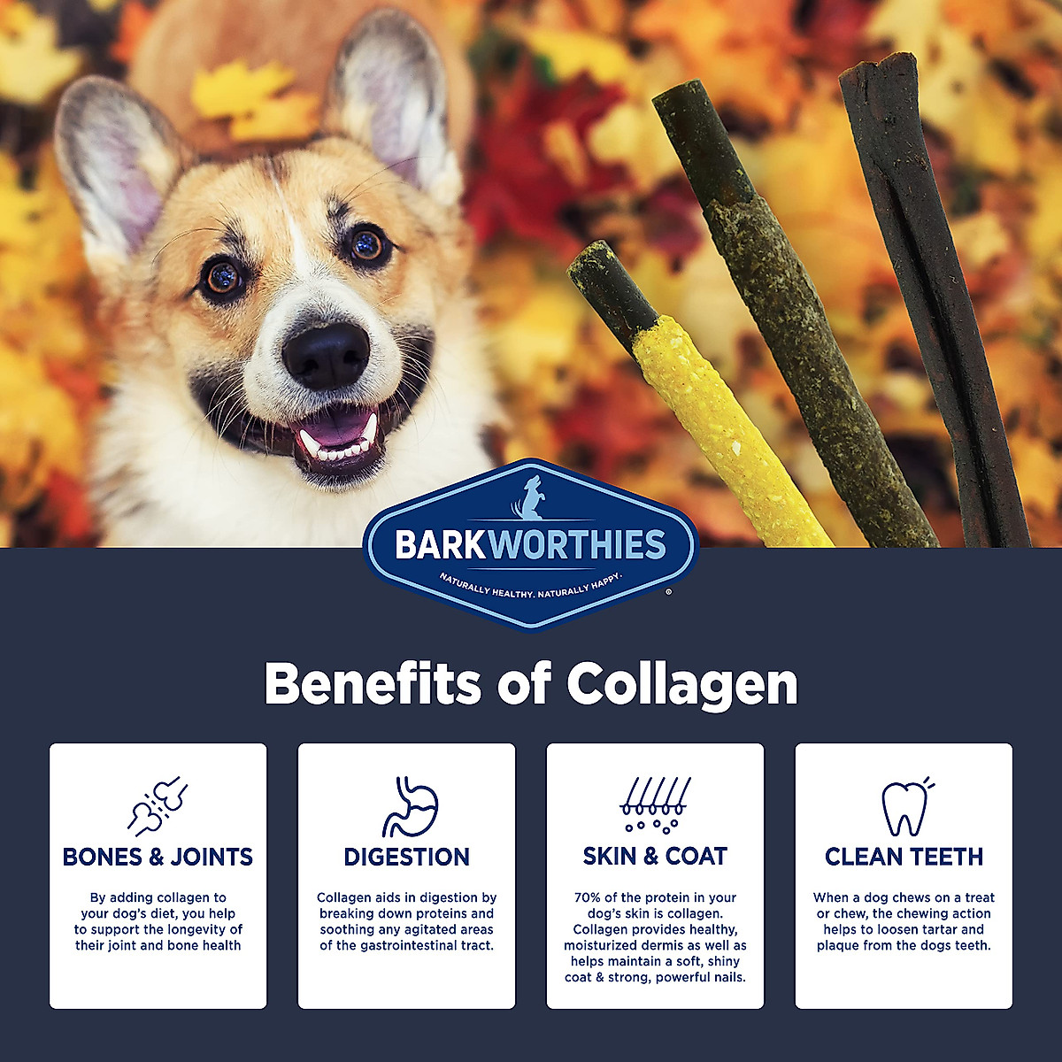 Barkworthies Harvest Buffet Collagen Sticks (6-Inch, 3-Count) - Great Tasting, Easily Digestible, Variety Pack, Dog Chew