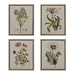 Martha Stewart Herbal Botany Wall Art Living Room Decor - Floral Linen Canvas, Farmhouse Lifestyle Bathroom Decoration, Ready to Hang Painting for Bedroom, 17.84"W x 21.84"L x 1.45"H, Green 4 Piece
