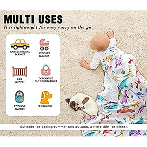 Baby Mink Blankets, Dinosaur Toddler Blanket for Boys Girls, Soft Newborn Blanket with Dotted Backing, Double Layer, Crib Receiving Blanket for Nursery, Shower Gifts, 30 X 40 Inches