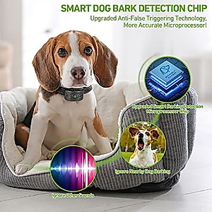 2 Pack Rechargeable Dog Bark Collar, Anti Barking Collar with 5 Sensitivity, No Shock Bark Collar with Vibration&5 Variable Beep, IP67 Waterproof Smart Bark Training Collar for Large Medium Small Dogs