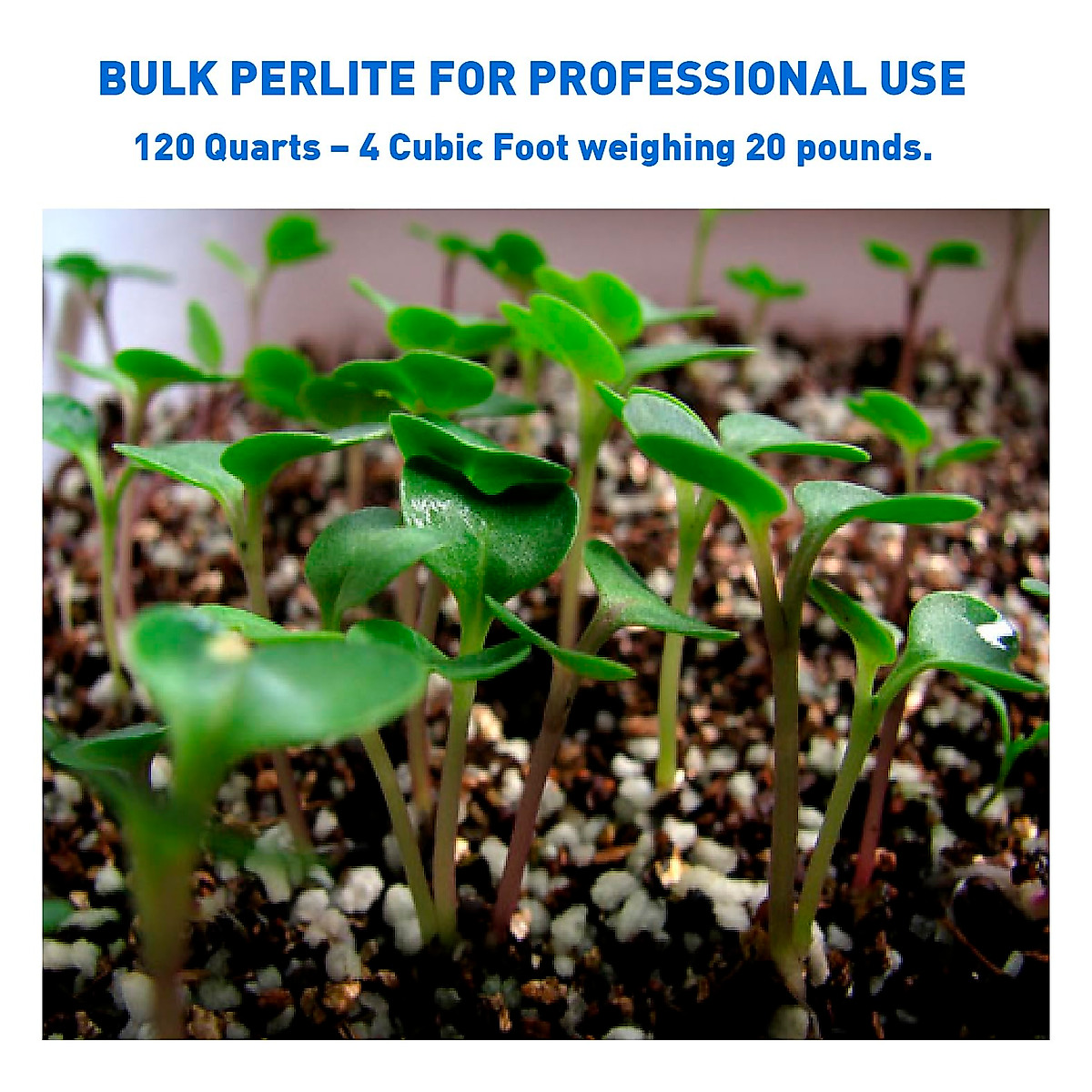 Norcal Perlite Horticultural Organic Certified Premium Screened Coarse – Garden Indoor Outdoor Plants – Soil Additive Better Aeration and Drainage - 4 Cubic Feet (103 Quarts) 1 Bag