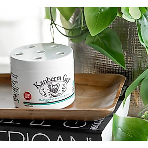 KANBERRA GEL 524001 Natural Air Purifier Gel, 2-Ounce
