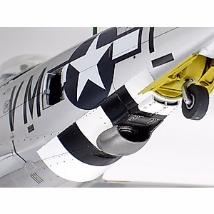 Tamiya 61090 1/48 P-47D Thunderbolt Bubbletop Plastic Model Airplane Kit