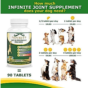 IPL Advanced Hip & Joint Formula - 90 Mobility & Pain Relief Dog Chews - Glucosamine, Chondroitin, MSM, & Turmeric for Superior Joint Health