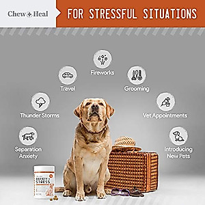 Chew + Heal Dog Calming Treats - 60 Soft Chews, Anxiety Supplement - Stress Relief Thiamine and L-Tryptophan for Travel, Storms, Fireworks - with Ginger and Melatonin - Made in The USA