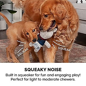 Furhaven 2-Pack Dapper Dandies Woodland Collection Squeaky Plush Dog Toy Set, Washable - Bear/Squirrel, 2-Pack