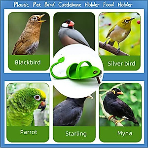 2pcs Bird Feeding Cup Rack Plastic Cuttlebone Holder,Bird Food Holder, Plastic Food Fruit Feeding Perch Stand Holder for Pet Bird Supplies Fruit Vegetable Storage Stands