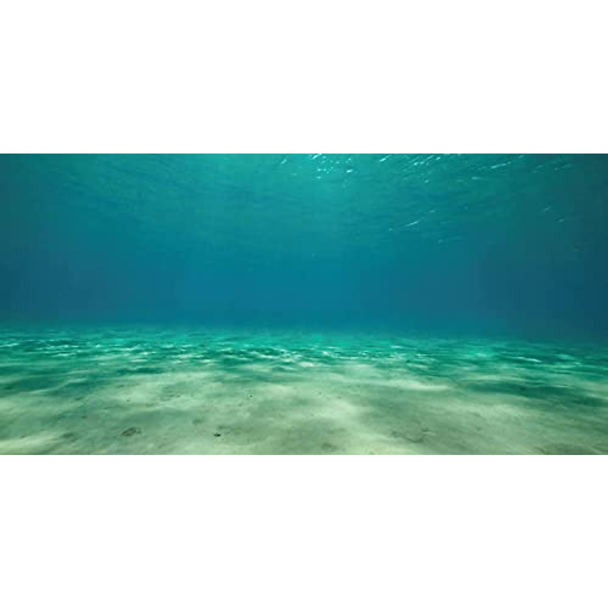 SPORN Aquarium Background, Static Cling, Ocean Floor 36" x 18"