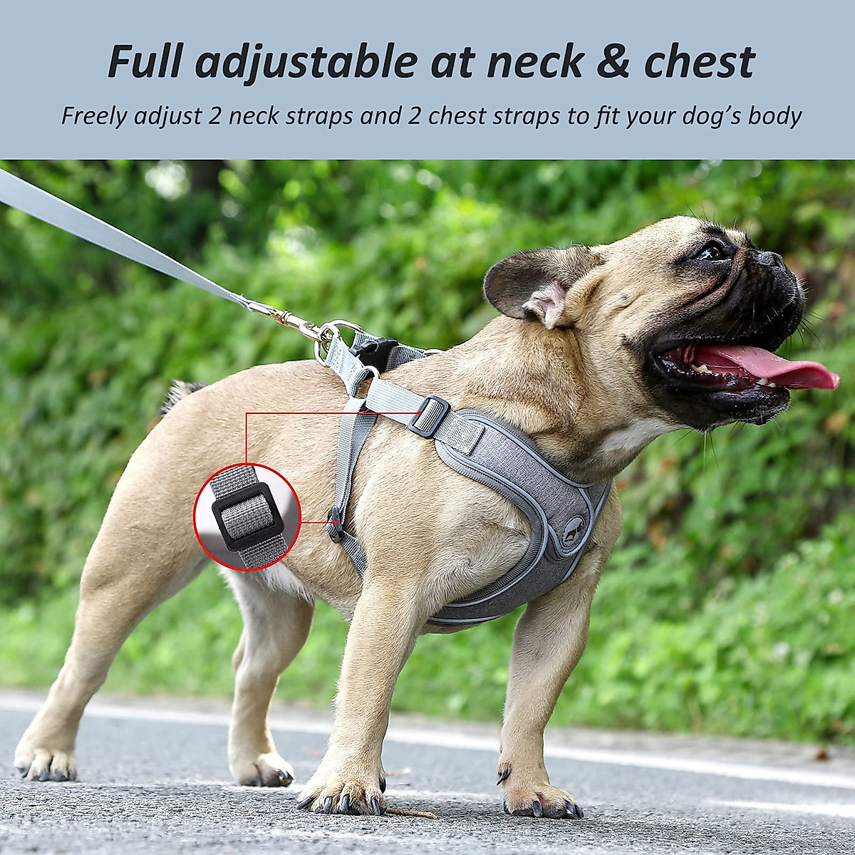 SAEGYPET Dog Harness with Leash Set, No Pull Reflective Strips Adjustable Step in Dog Collars Harness with Breathable Padded Vest Harness for Small Large Dogs Training and Running (S, Gray)