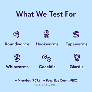 MySimplePetLab Dog Digestive Health Bundle I Mail-in Stool Test Kit for Worms/Giardia I Diarrhea Care Kit with Anti-Diarrheal Kaolin, Probiotics, & Fiber for Loose Stool & Upset Stomach