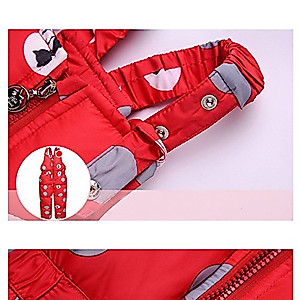 Baby Girls Snowsuit Toddler Puffer Hooded Jacket + Bib Pants 2 Pieces Set Grey 100 Large