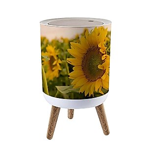LGCZNWDFHTZ Small Trash Can with Lid for Bathroom Kitchen Office Diaper Sunflower Field Bedroom Garbage Trash Bin Dog Proof Waste Basket Cute Decorative