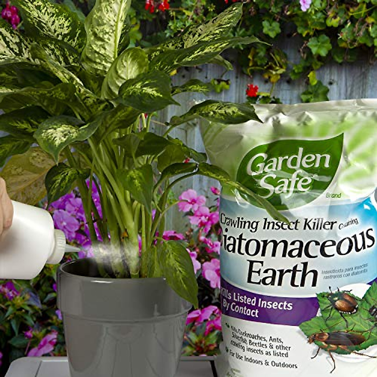 Garden Safe Insect Killer, 1-count