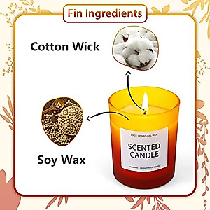 Scented Candles Set City of Stars, Endless Summer, Sunset Boulevard/Jar Candle Rose of Desert