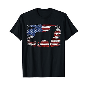 Golden Retriever Vintage USA Flag T-Shirt