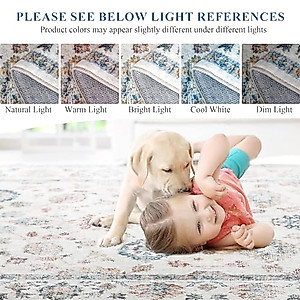 Mcadore 8x10 Washable Vintage Boho Area Rug - Non Slip, Foldable Large Carpet for Living Room, Bedroom, Kitchen - Beige/Multi - Print Design