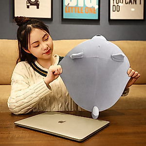 Achwishap Husky Plush Pillow 13.7‘’ Huskie Stuffed Animal,Soft Kawaii Plushie Large Hugging Pillow for Kids Girls Boys,Gray