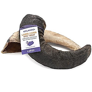 Icelandic+ Plus Large Lamb Horn Dog Chew