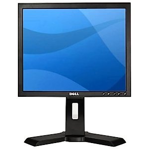 Dell Professional P170s 468-9272 17-inch Screen LCD Monitor (Renewed)