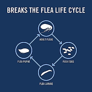 PetArmor Plus Flea and Tick Prevention for Cats, Cat Flea and Tick Treatment, 1 Dose, Waterproof Topical, Fast Acting, Cats Over 1.5 lbs