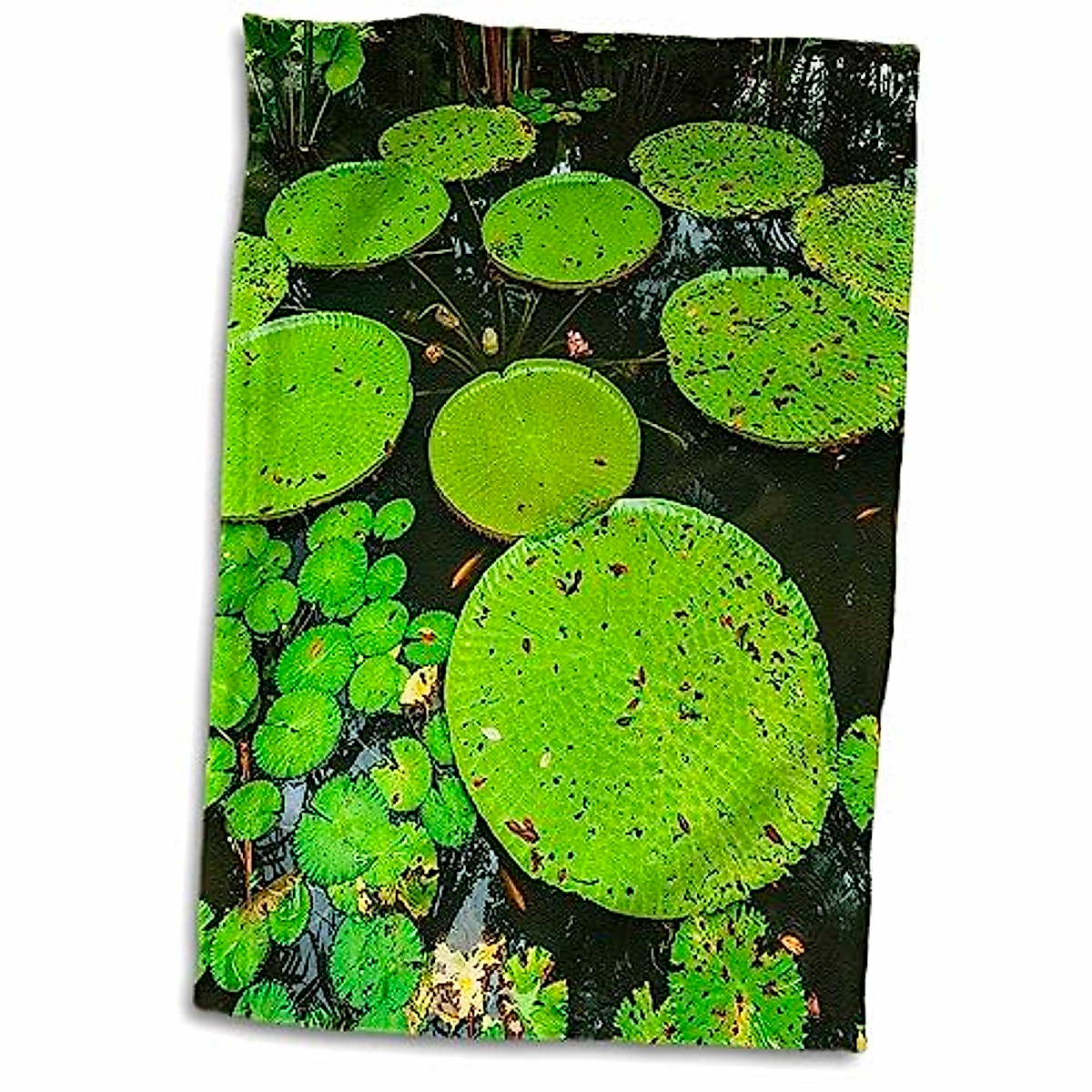 3dRose Lilly Pads in Ginger Garden at Singapore Botanic Gardens, Singapore. - Towels (twl-366353-1)