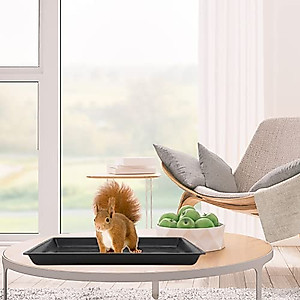 Dog Crate Replacement Pan- Plastic Pet Cage Cleaning Tray- Cage Tray Plastic Base Tray for Rabbit Dog Cat 43x28cm