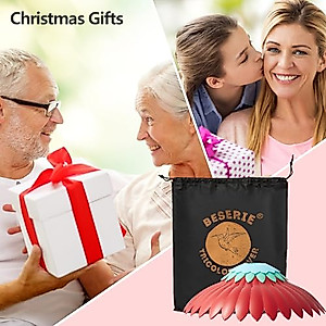 Squirrel Baffle for Hanging Bird Feeder,Baffle for Bird Feeder Built-in Moat,Weather Guard Protect Feed from Sun,Red Dome Cover Attract Birds-14inchs