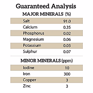 REDMOND Rock Crushed Loose Mineral Salt Electrolyte Supplement for Horses (25 LBS)
