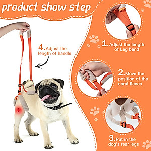 Mixweer 2 Pcs Dog Support Harness for Back Legs Dog Rear Lifting Sling Aid with Handle and Shoulder Strap Hind Leg Support for Pet Mobility Helps Dogs with Poor Stability Joint Injuries (Orange)