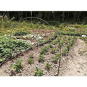 Garden Hoops for Raised Beds Hoop House Greenhouse Hoops for Garden Beds Green House Hoops for Garden Netting Wire Hoops Garden Tunnel Garden Hoops for Row Cover Hoops Fiberglass 6.56ft+1.31ft (6Pack)