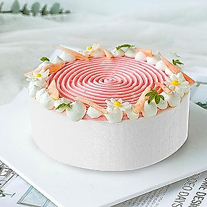 Tofficu 10 Pcs Foam Disc Foam Cake Model Cake Practice Foam Cake Circles Cake Rounds Cake Practice Model Cake Round Foam for Crafts Material Foam Child Unique White