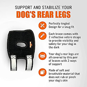NeoAlly - 3-in-1 Short Rear Leg Hock Brace, Dog Leg Brace for Rear Leg with Rigid & Spring Inserts, Hock and Ankle Support, Dog Leg Sleeve with Reflective Straps, Small, 1 Pair