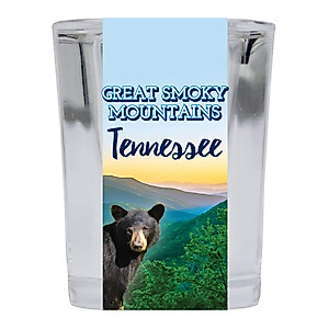 Great Smoky Mountains Gatlinburg Tennessee National Park Souvenir Square Shot Glass