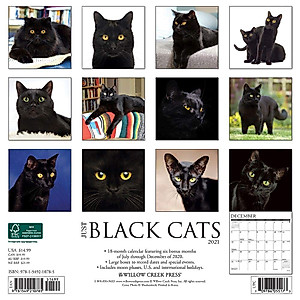 Just Black Cats 2021 Wall Calendar