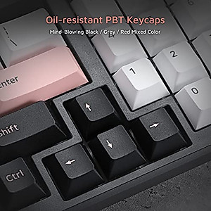 FL ESPORTS FL980 96% 1800 Layout Wired Mechanical Keyboard, 98 Keys RGB Hot Swappable Programmable Gaming Keyboard w/Light Tactile Kailh Box White Switches, Durable PBT Keycaps, (Olivia)