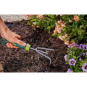 Miracle-Gro Shake 'N Feed All Purpose Plant Food, Plant Fertilizer, 4.5 lbs. (6-Pack)