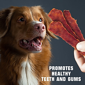 Duck Jerky Dog Treats - Human Grade Pet Snacks - Natural High Protein Meat Dried Strips - Best Chews for Training Small & Large Dogs - Bulk Soft Pack