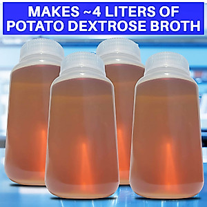 Evviva Sciences Potato Dextrose Broth - Makes ~4L of Potato Dextrose Liquid Broth, Fungal Cultivation, Mycology - Mushrooms & Science Projects, 100 Grams