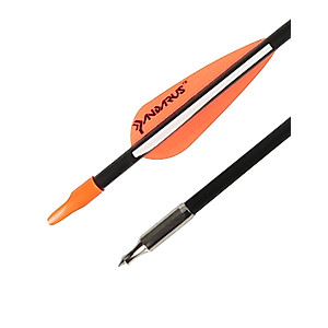 PANDARUS Archery 28" Fiberglass Archery Target Practice Arrows, for Children, woman or Beginner, for Recuve Bow(Pack of 12) …