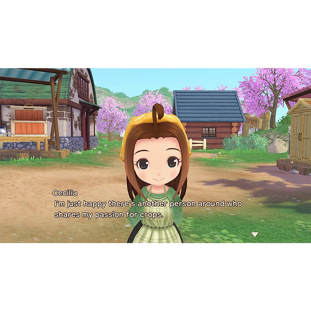 Story of Seasons: A Wonderful Life - PlayStation 5
