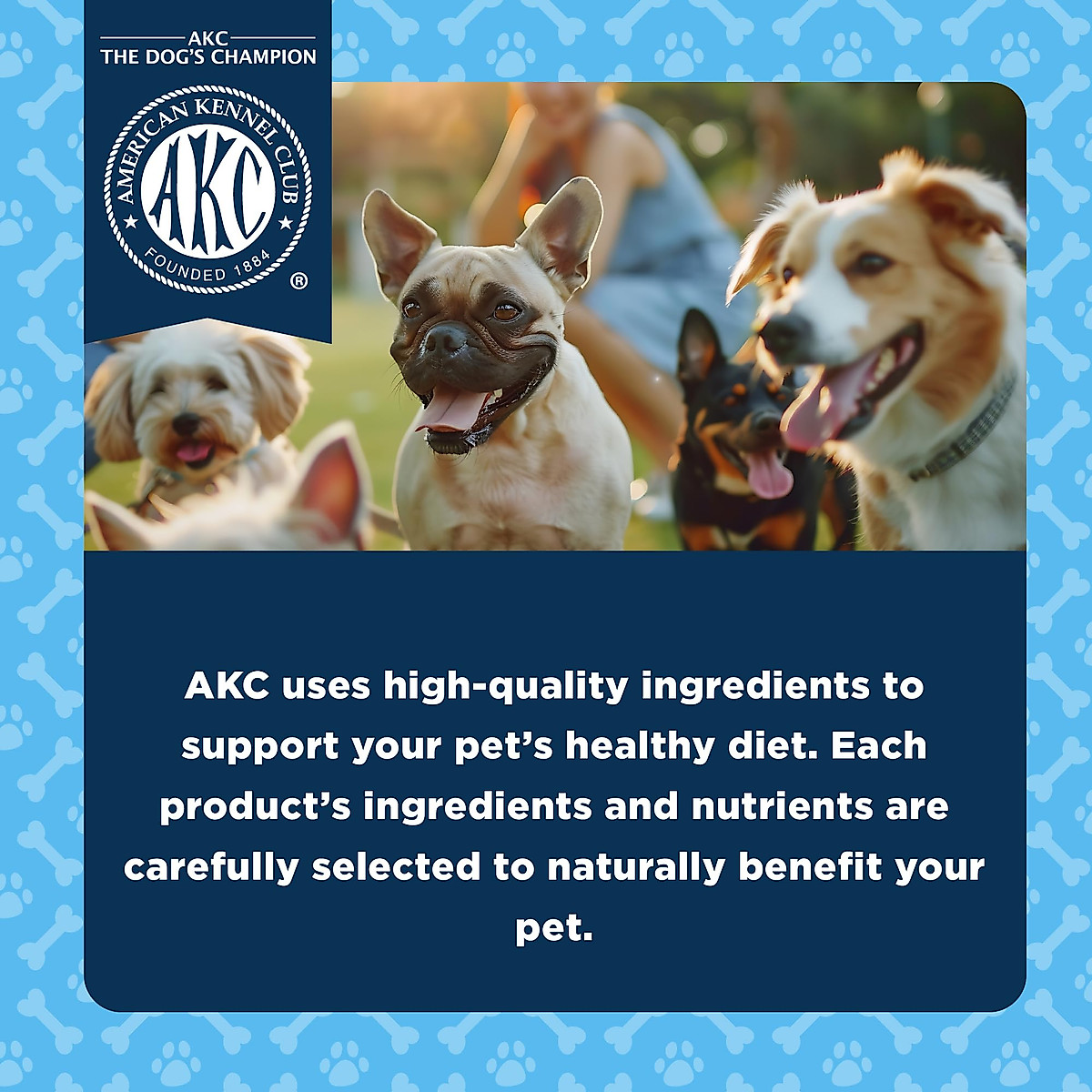 American Kennel Club Dentacare Mint Dog Treats, Good for Dog Dental Health, for Large Dog Breeds, 13 Count