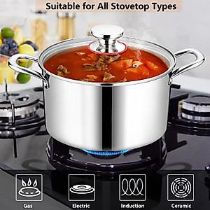 THEGA Stainless Steel Stock Pot - Large Stock Pot With Lid, Round Stock Pot With Soft-Touch Handles, Tri-ply Pasta/Chicken/Soup Pot, Stockpot For Steaming And Stewing, Dishwasher Safe, 8QT