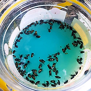 Flybuster Fly Trap - Outdoor Living, Non-Toxic Fly and Pest Control Trap, 1-Liter, Compact