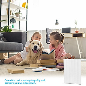 Smilyan 116130 Filter H Replacement True HEPA for Winix 5500-2 and AM80 Air Purifier, 3 Pack HEPA Filter Only (3 Hepa Filters)