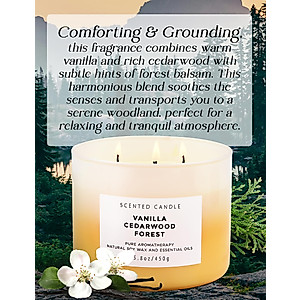 Vanilla Cedarwood Forest Candle - Large 3 Wick Scented Candle - Winter Balsam Fir Candle with Clove & Cedar - Natural Soy Candle for Home 15.8 oz - Aromatherapy Holiday Candle Gift for Women & Men