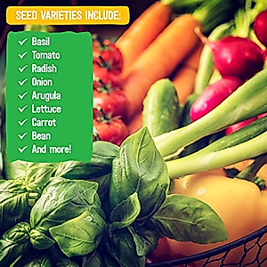 Back to the Roots Organic Seed Bundle - Herbs and Vegetables Variety Pack for Planting - Assorted Non-GMO Seed Mix for Beginner Indoor and Outdoor Gardening, 10-Pack