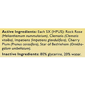 Bach RESCUE REMEDY PET Dropper 10mL, Natural Stress Relief, Calming for Dogs, Cats, & Other Pets, Homeopathic Flower Essence, Thunder, Fireworks, Travel, Separation, Sedative-Free